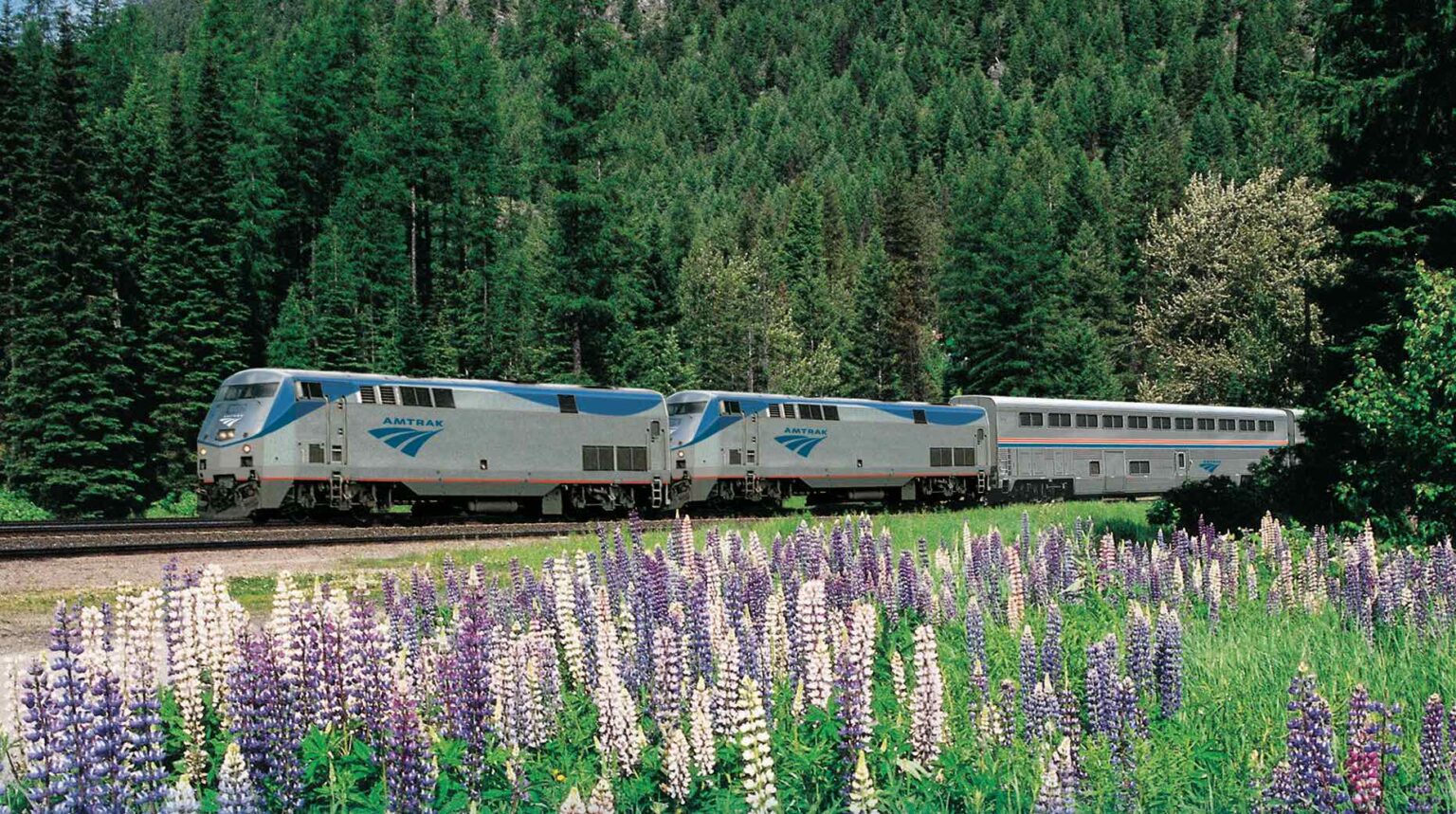 Amtrak Modernizing Long-Distance Trains With New Rooms and Seating - ePoll